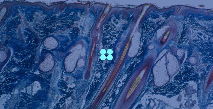 FILAMENT | Hair Strengthening Treatment for Stronger, Healthier Hair